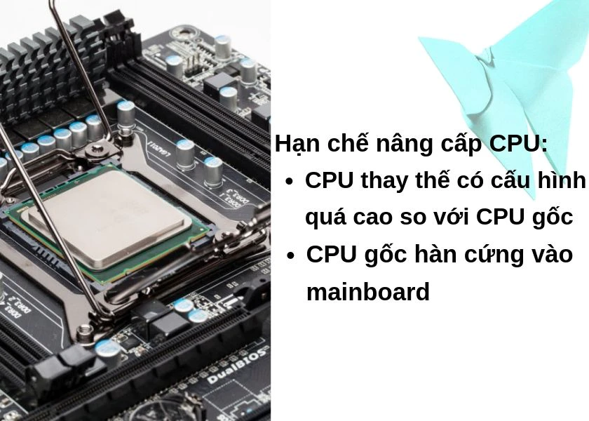 CPU là gì? Hiểu rõ bộ não của máy tính - Máy Tính Gia Phát